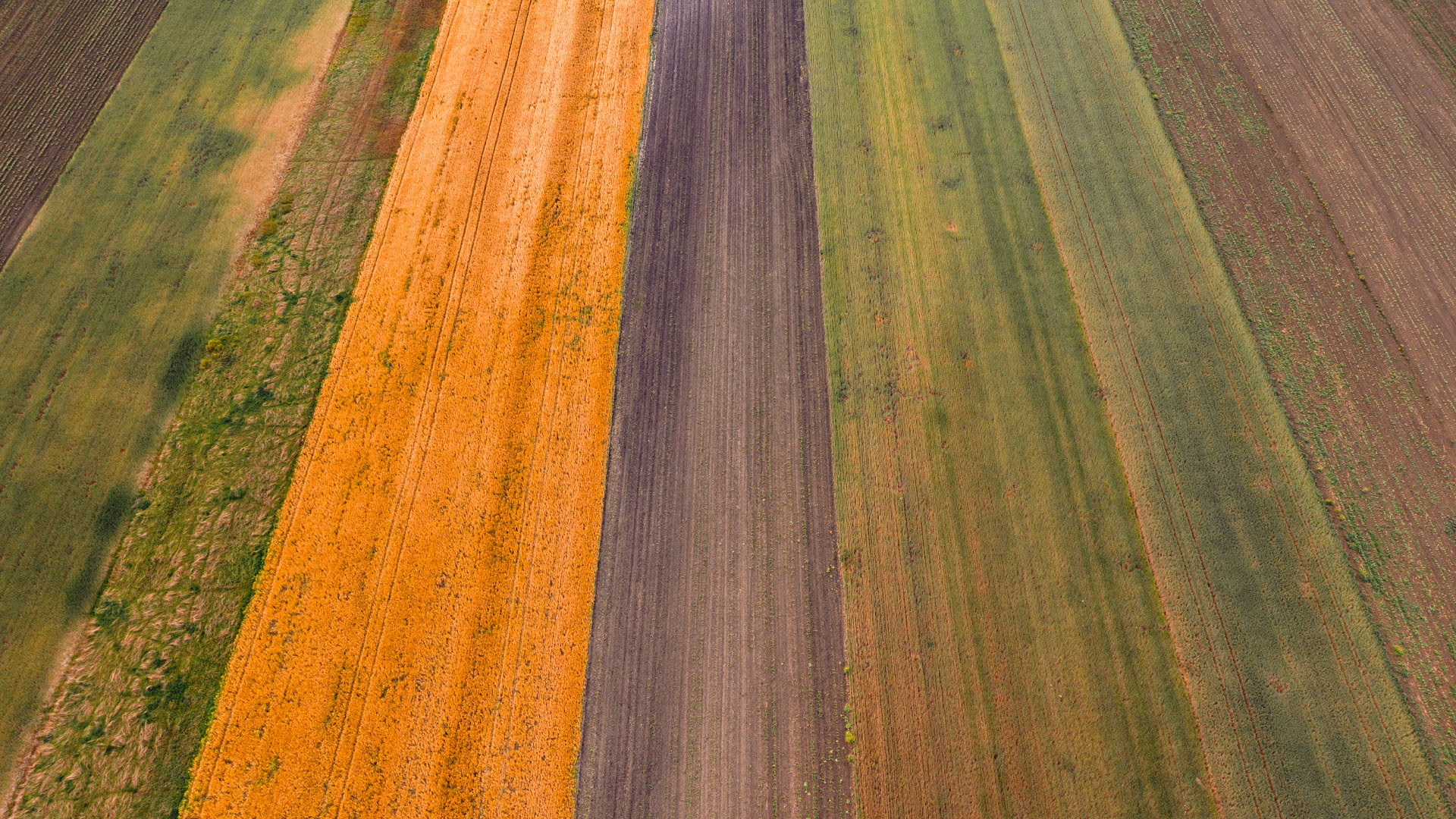 Alternative Asset Management | Institutional Strategies | Jefferies