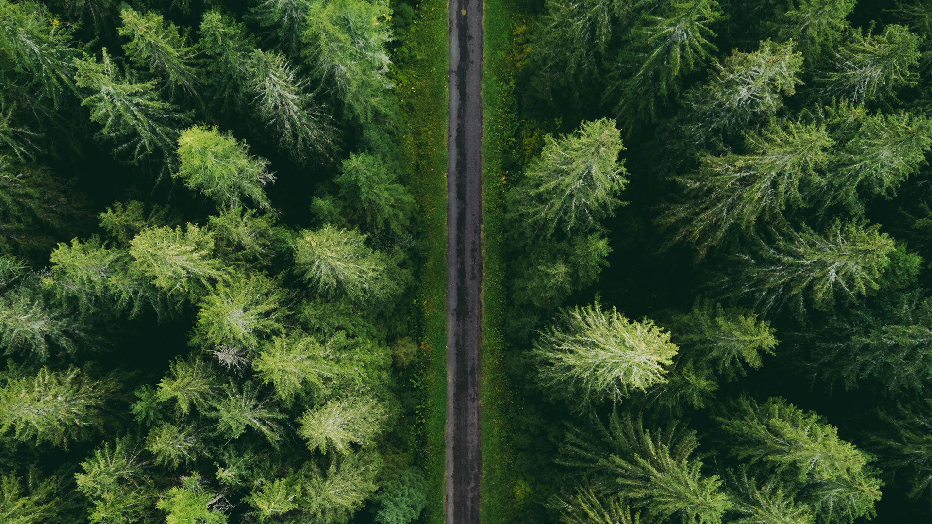 Alternative Asset Management | Institutional Strategies | Jefferies